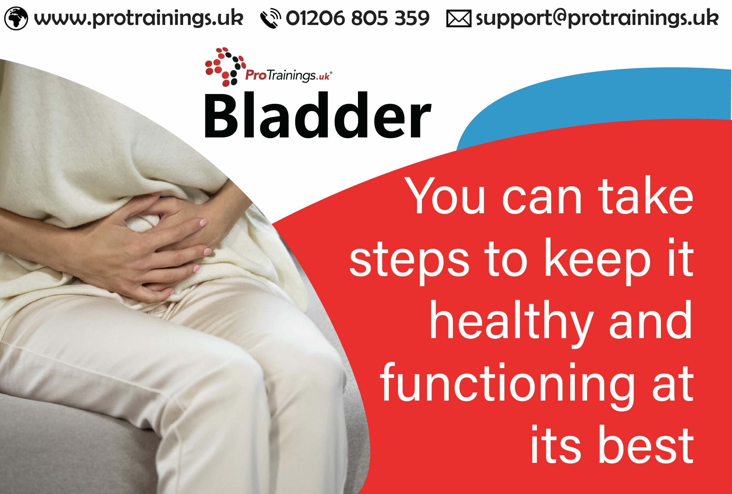 The bladder - ProTrainings blog