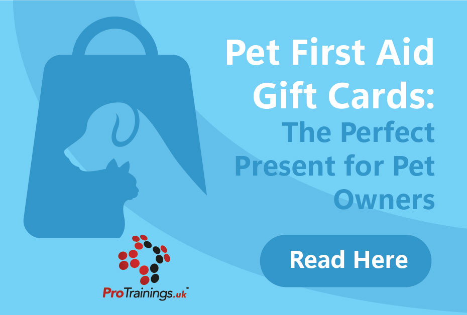 Pet First Aid Gift Cards: The Perfect Present for Pet Owners! - Online ...