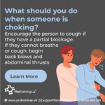 Choking: Recognising and Responding to Airway Obstructions - Online ...