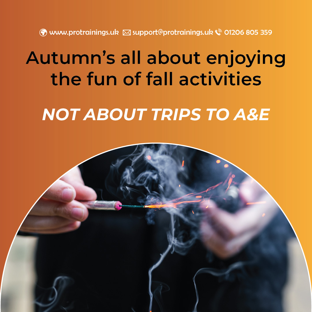 Autumn Adventures: First Aid Skills for Fireworks and Bonfires - Online ...