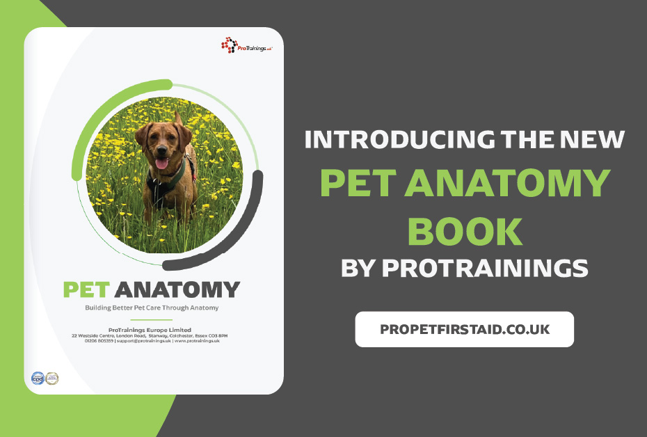 Introducing the New Pet Anatomy Book by ProTrainings - Online Health ...
