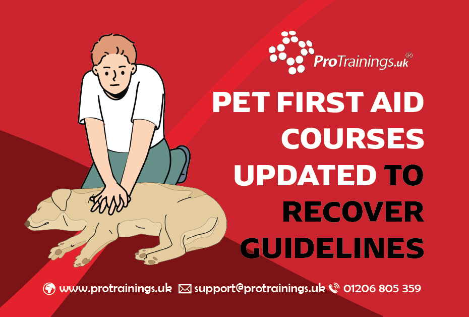 Pet First Aid Courses Updated to RECOVER Guidelines - Online Health ...